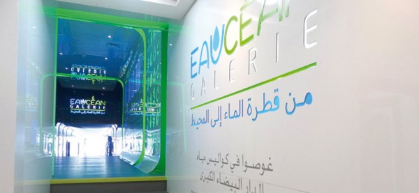 Lydec célèbre l’environnement et l’océan - La Vie éco