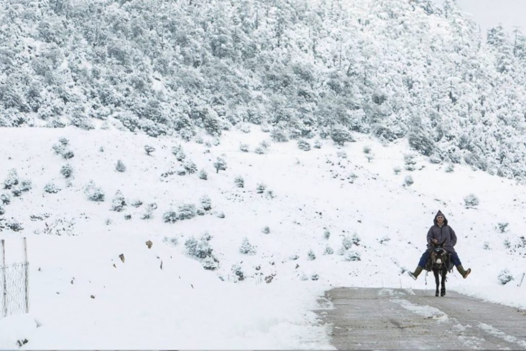 Province de Guercif : Une panoplie de mesures pour faire face à la ...