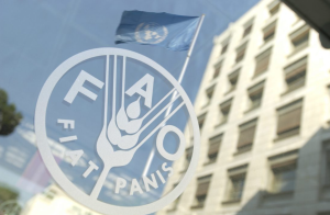 FAO: Le Maroc élu membre du Conseil d’Administration - La Vie éco