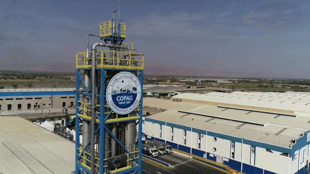 Agroalimentaire: Copag lance le premier lait végétal 100% marocain - La ...