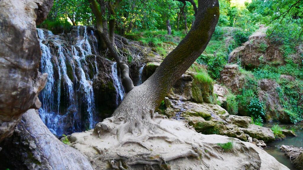 Ifrane: Le parc Ain Vittel fait peau neuve - La Vie éco