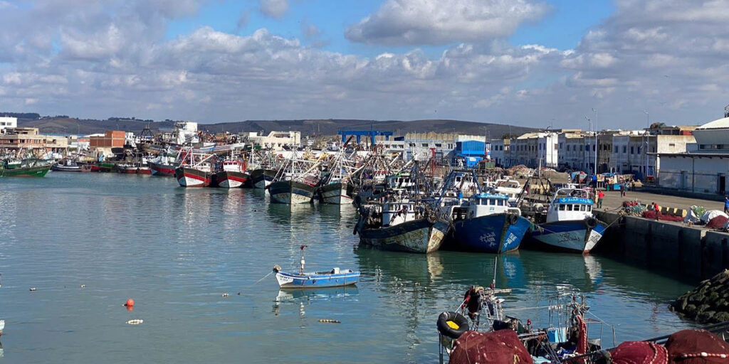 Pêche maritime: Hausse de 10% des débarquements au port de Larache - La ...