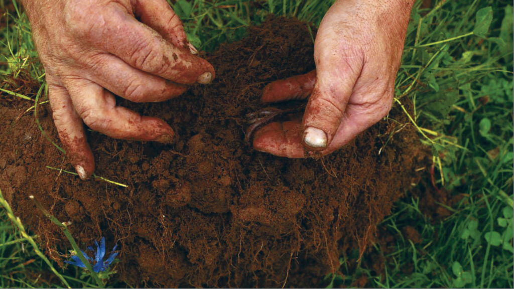 Carbon farming : Tourba prend le lead au Maroc - La Vie éco