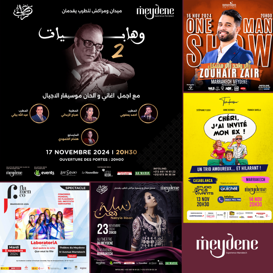 Meydene : Quand la culture et le spectacle se rencontrent pour un ...